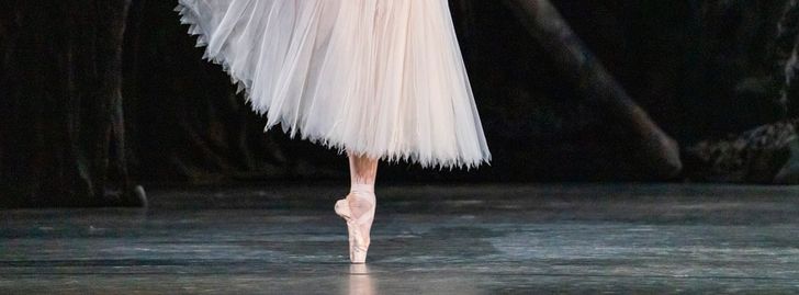 Primary Ballet @ Prestige Dance - Calgary | DanceUs.org