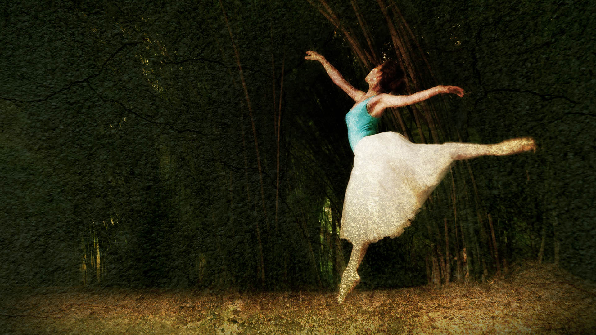 The Complete History of Ballet: From Italian Courts to Modern Styles ...